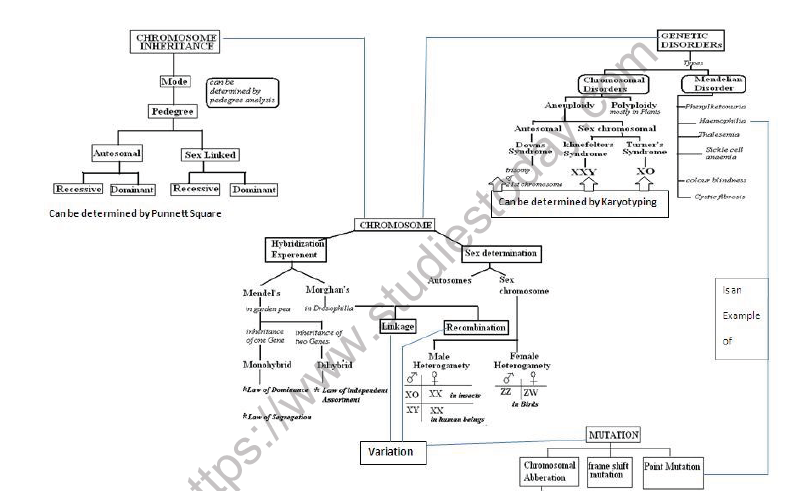 CBSE Class 12 Biology Principles Of Inheritance And Variation Minds Map